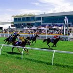 100+ Free & Paid Things to Do on the Gold Coast - Gold Coast Info