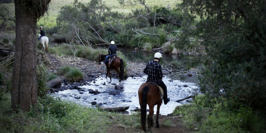 Numinbah Valley Adventure Trails and Camping - Gold Coast Info