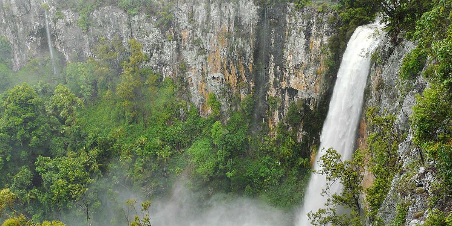 Springbrook Plateau, Springbrook National Park - Gold Coast Info